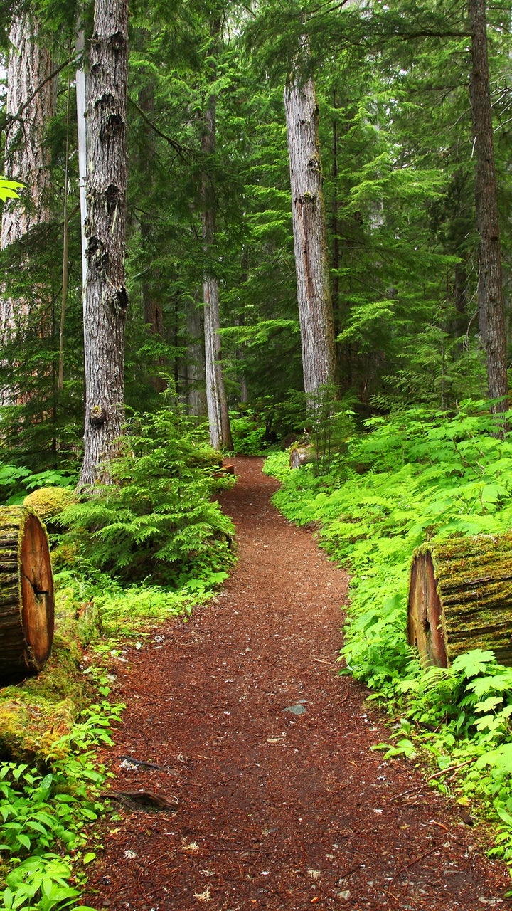 Northern Minnesota Land For Sale - LandBin.com